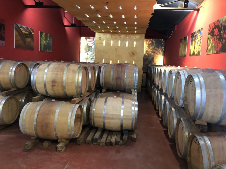 Wine Tasting in Tuscany - CESANI WINERY - Taste Topics Wine tasting