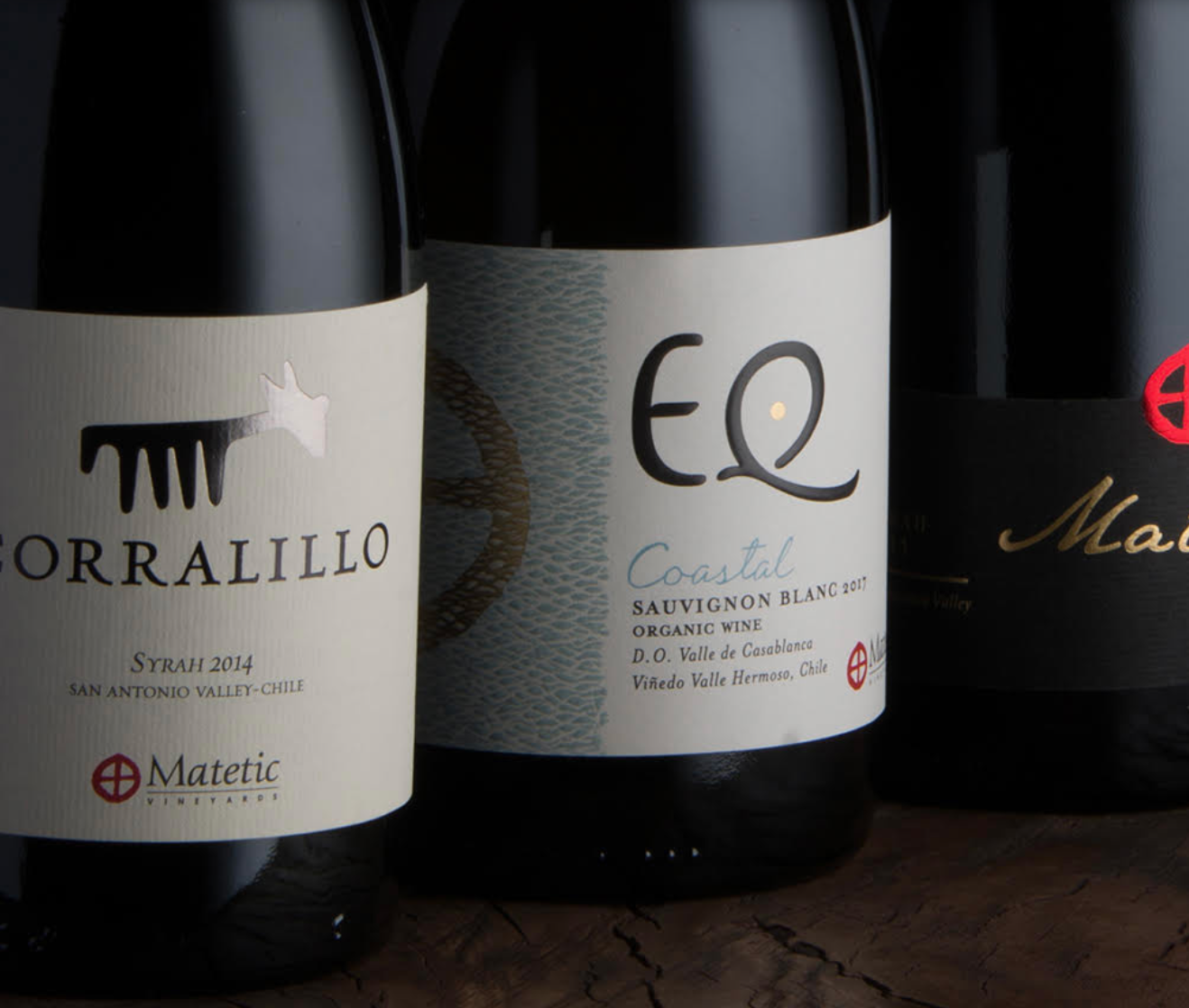 Wine Tourism Chile – Matetic Vineyard