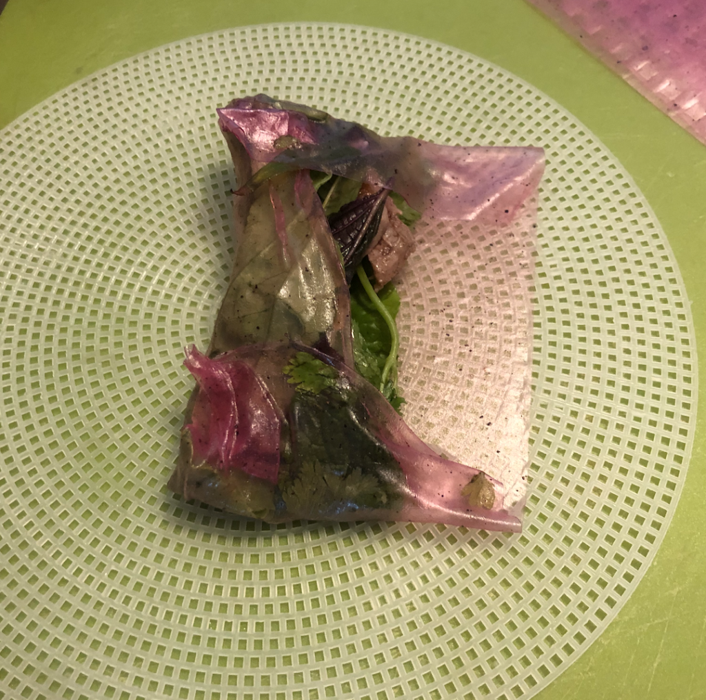 Fresh Duck Rolls - Taste Topics