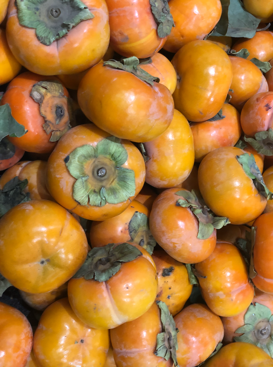 My Persimmon Tart