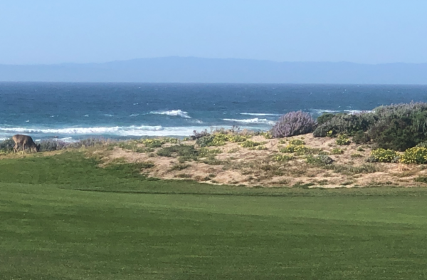 How to play The Links at Spanish Bay, Pebble Beach - Taste Topics
